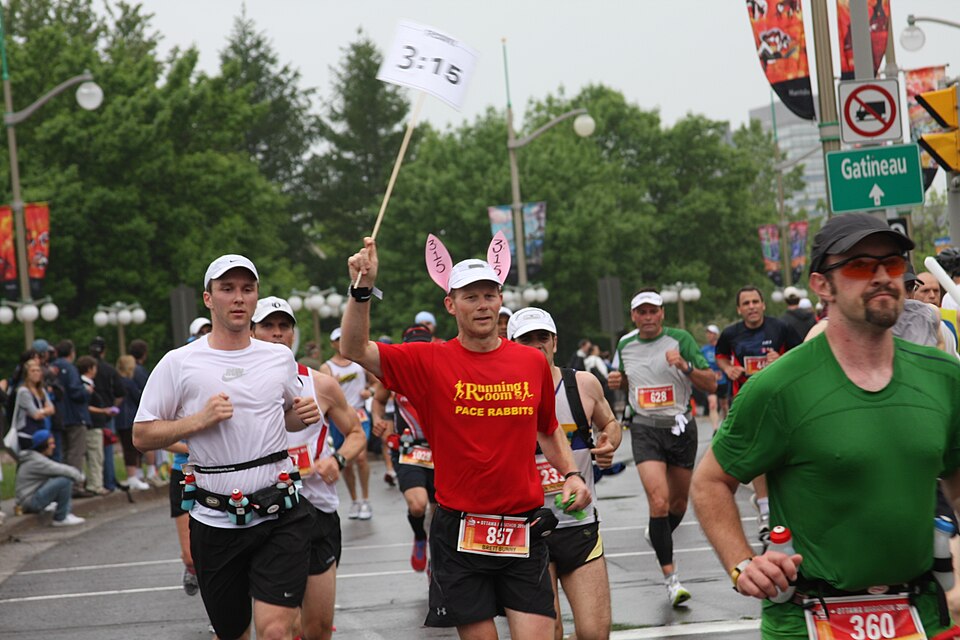 Ottawa Fall Colours Marathon 2026 - Difficulty Rating, Elevation ...